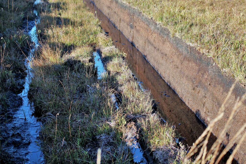 Was Sie Schon Immer über Torf Wissen Wollten… – Teil 1 | Whisky Guide ...